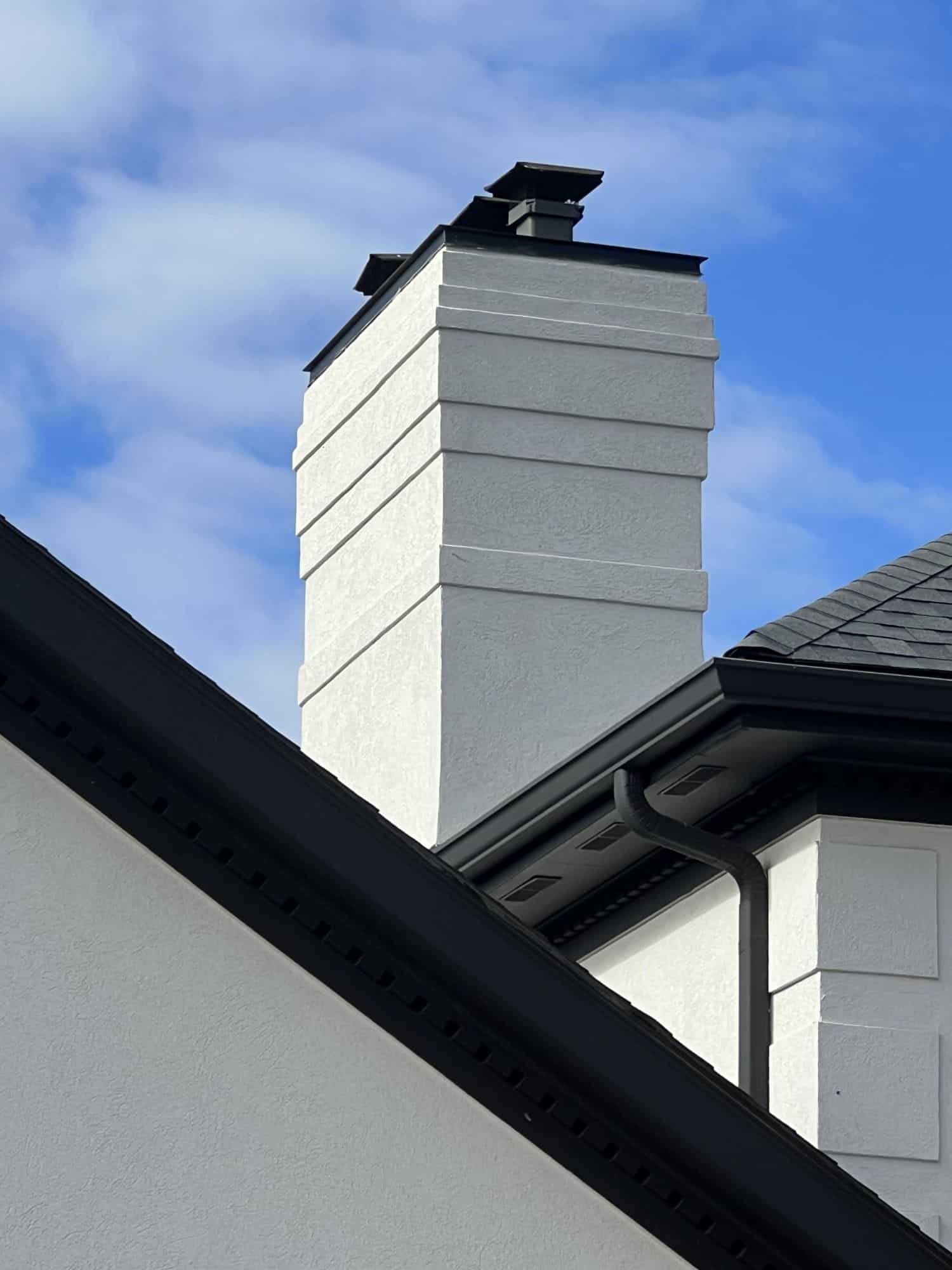 Impact of Woodpeckers on EIFS: A Costly Interaction